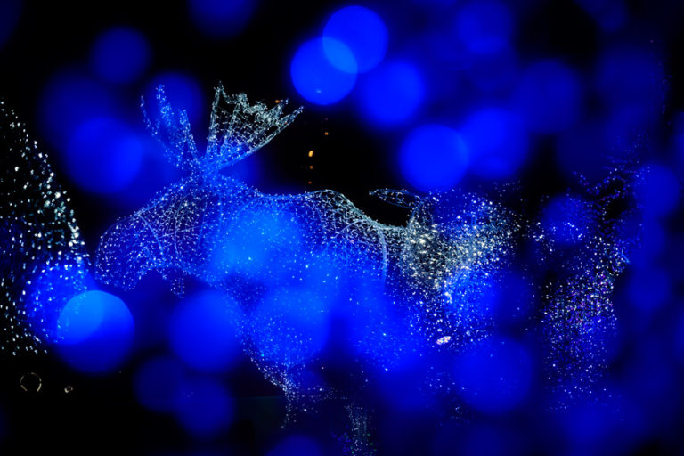 Aurora Winter Lights Festival Engagement - Jozef Povazan Photography